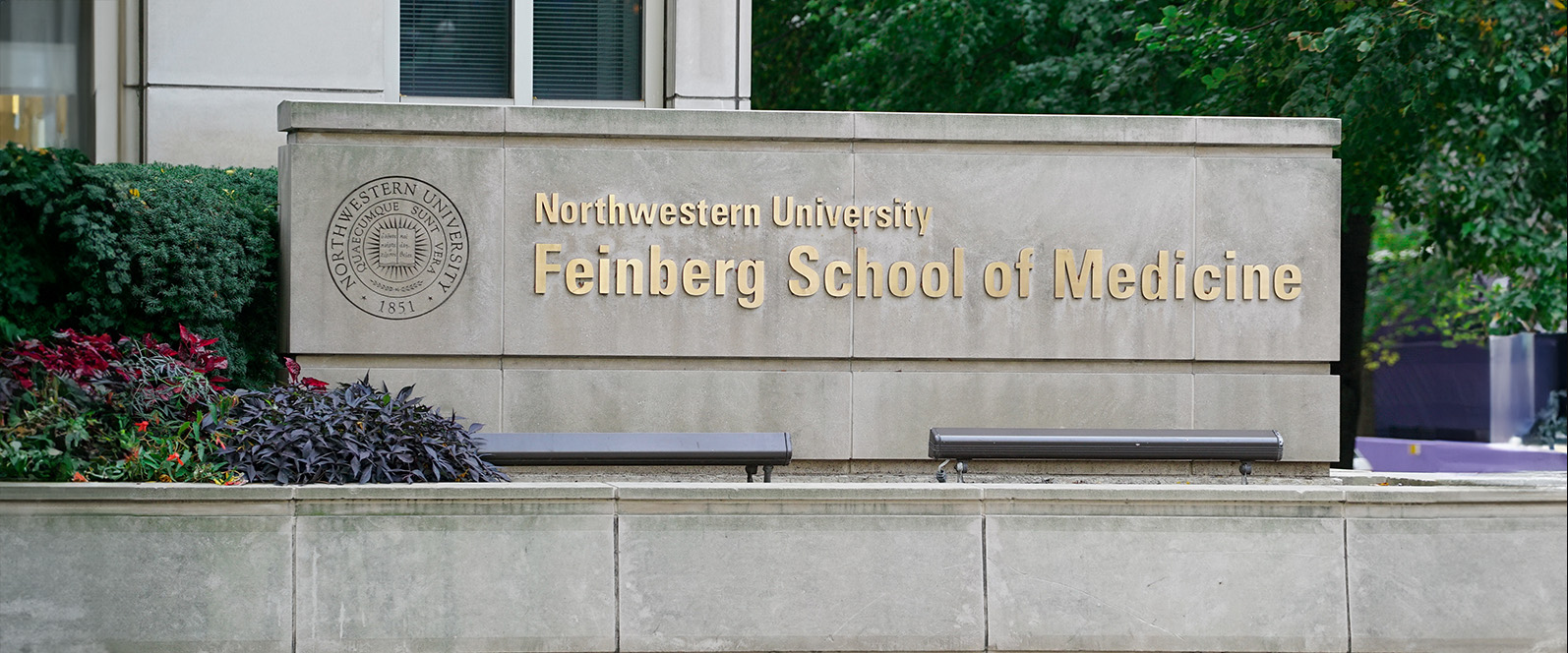 Faculty Overview Department of Medicine: Feinberg School of Medicine